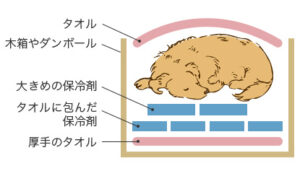 愛犬が亡くなったときの安置方法｜保冷剤の使い方や火葬までの流れとは？